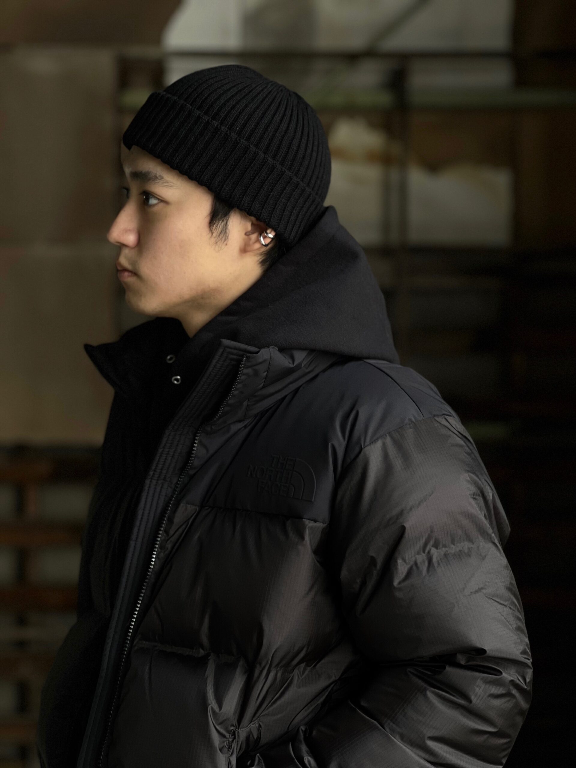 【THE NORTH FACE】- Baltro Light Jacket・GTX Nuptse Jacket – | CIENTO BLOG