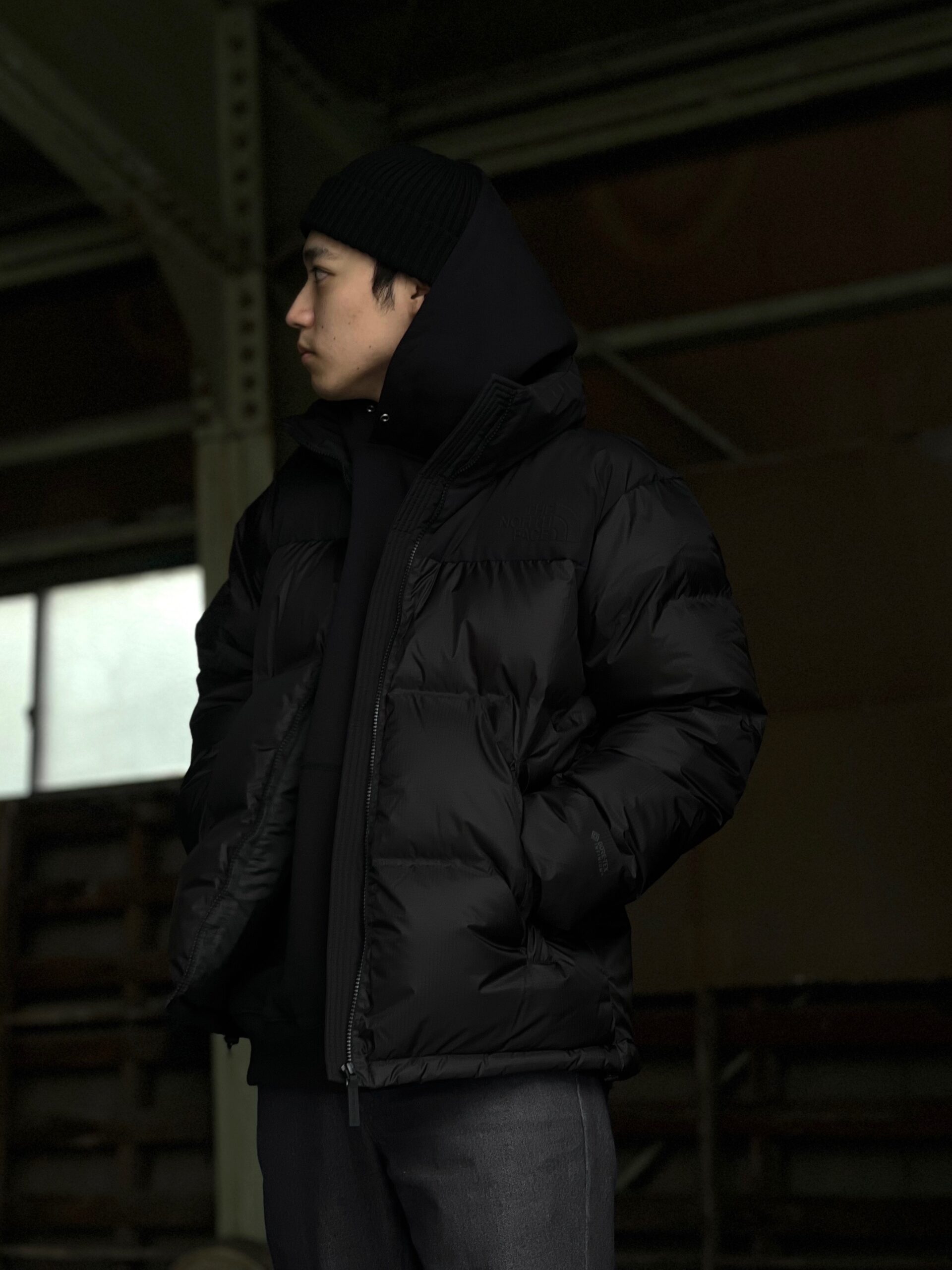 【THE NORTH FACE】- Baltro Light Jacket・GTX Nuptse Jacket – | CIENTO BLOG