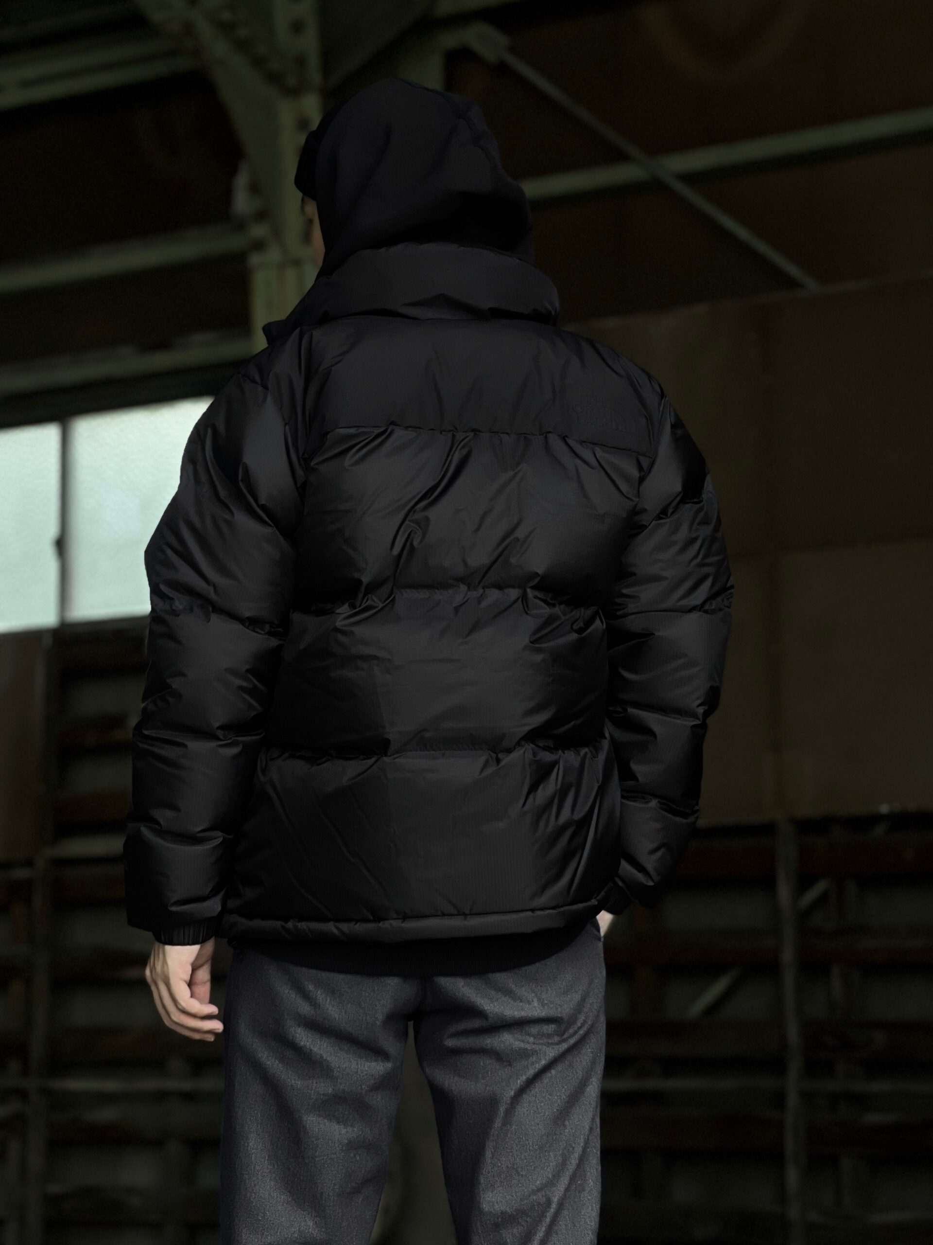 【THE NORTH FACE】- Baltro Light Jacket・GTX Nuptse Jacket – | CIENTO BLOG