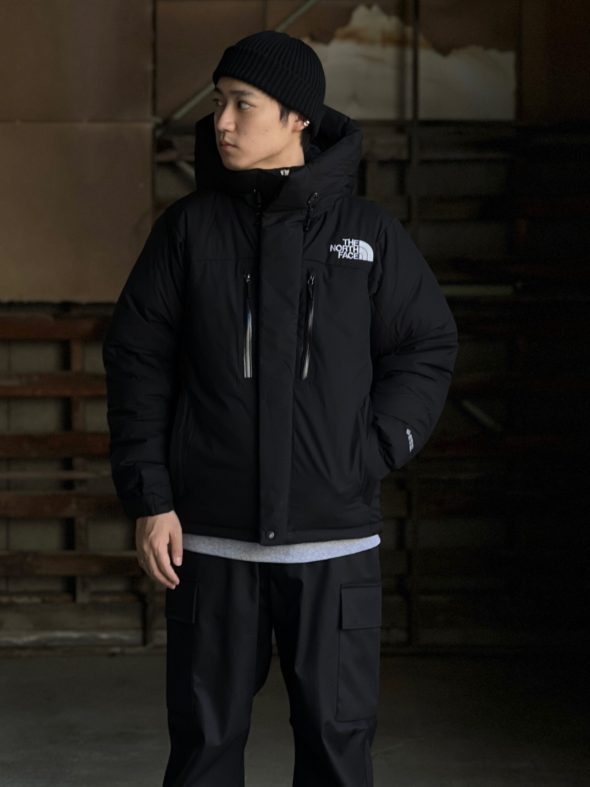【THE NORTH FACE】- Baltro Light Jacket・GTX Nuptse Jacket – | CIENTO BLOG
