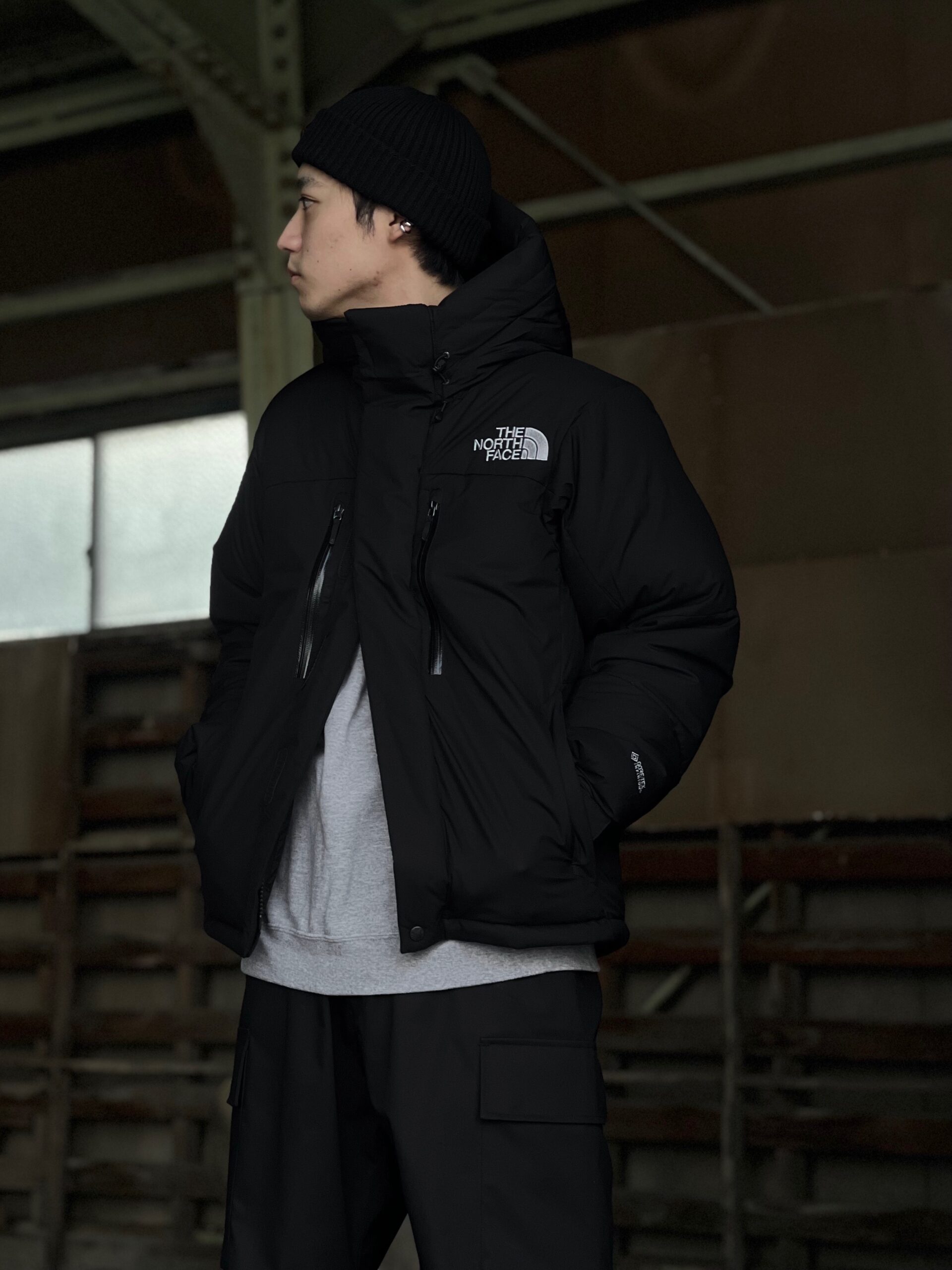 【THE NORTH FACE】- Baltro Light Jacket・GTX Nuptse Jacket – | CIENTO BLOG