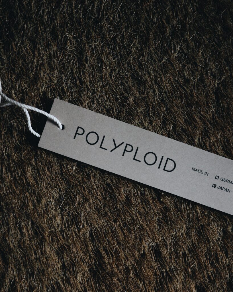 【POLYPLOID】ポリプロイドから新型のフーディが登場 | CIENTO BLOG