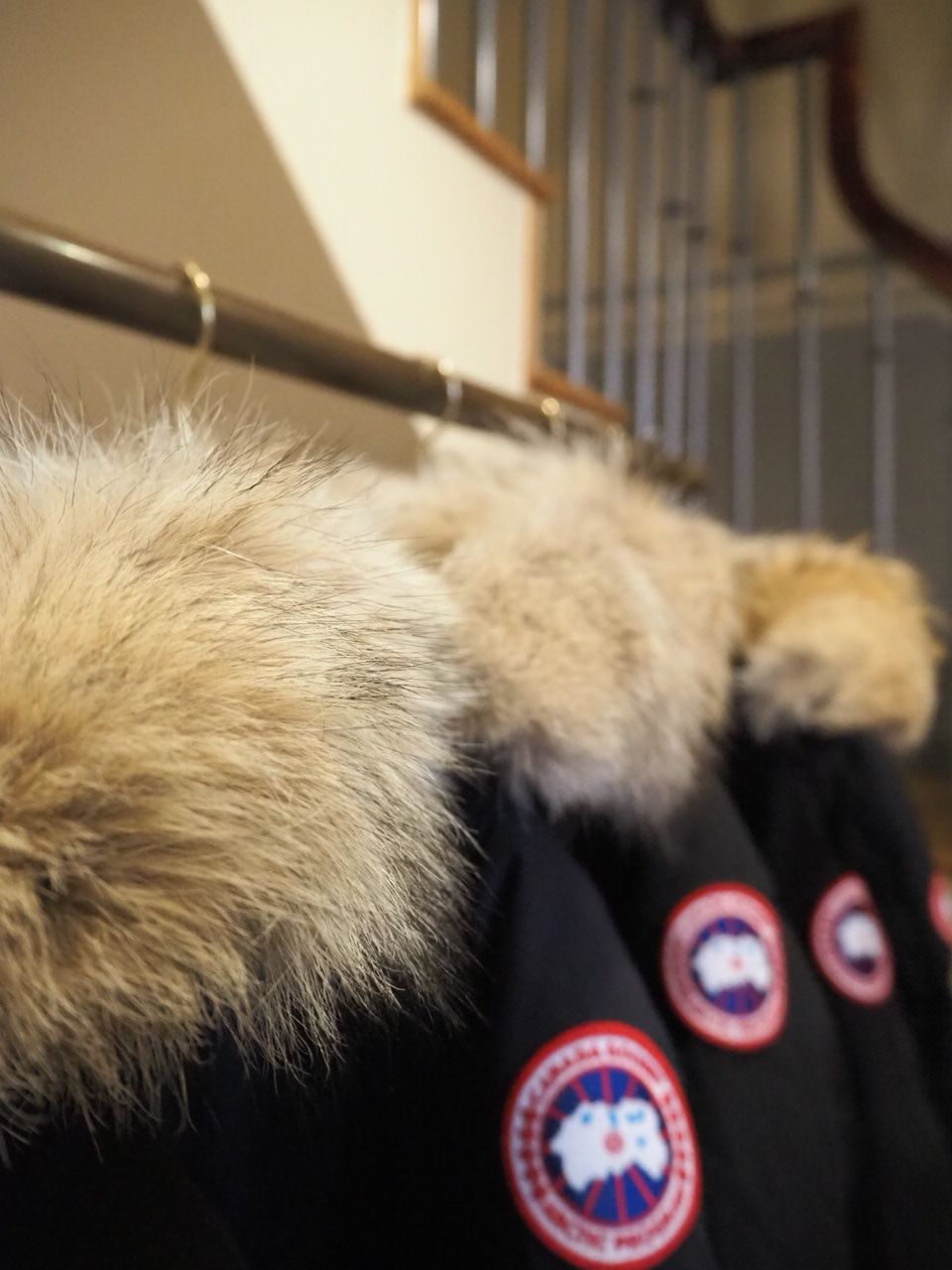 【CANADA GOOSE】More Variation 開催中です！ | CIENTO BLOG
